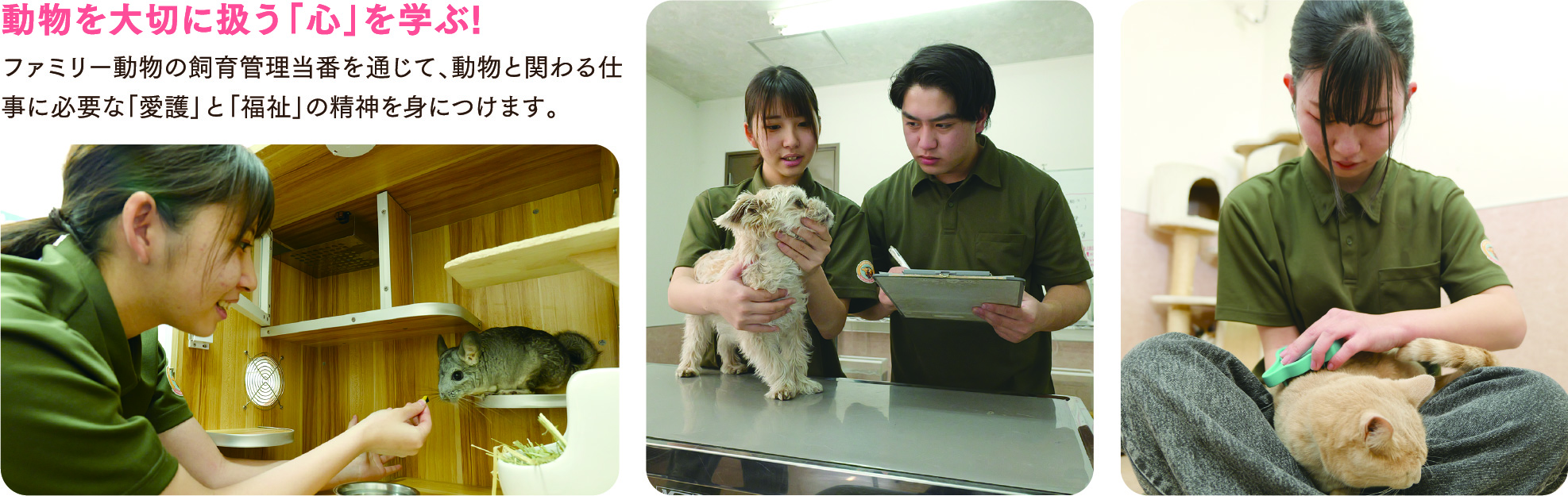 施設紹介 | 中央動物看護専門学校