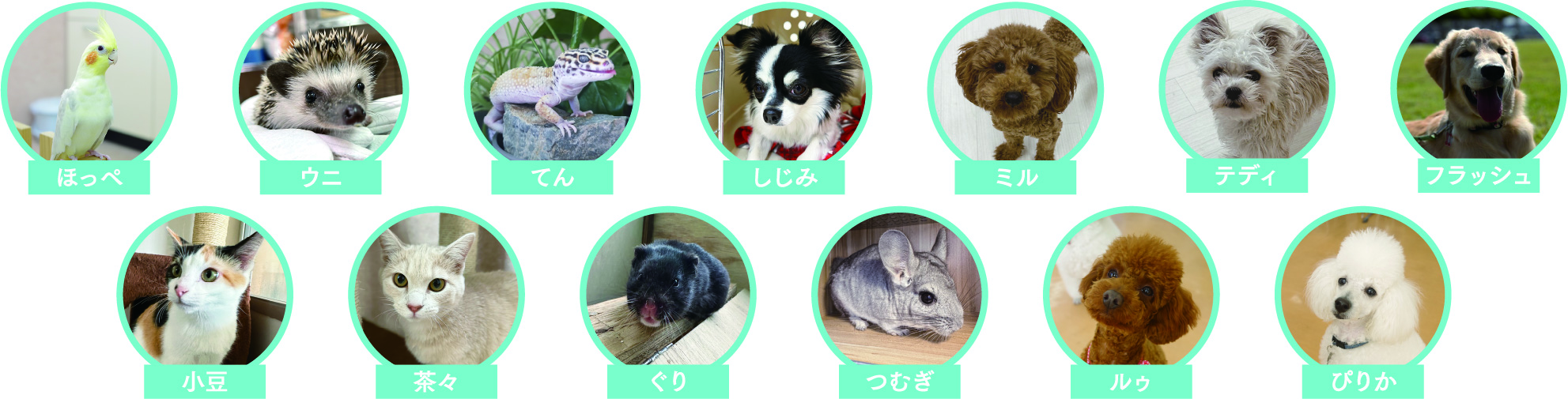 施設紹介 | 中央動物看護専門学校